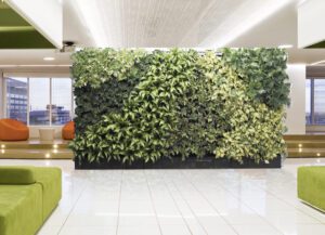 Greenwall Design & Installation | Now & Zen